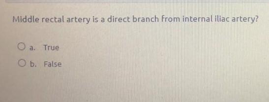 Solved Middle rectal artery is a direct branch from | Chegg.com