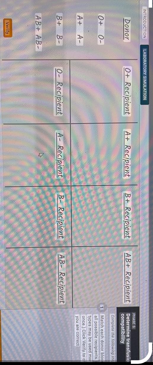 Solved INTRODUCTIONLABORATORY SIMULATION\table[[Donor,O+ | Chegg.com