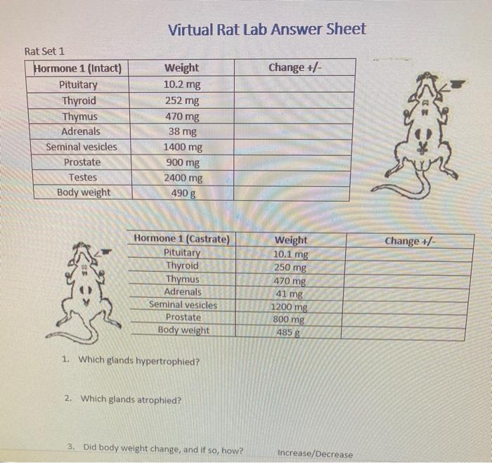 Solved Virtual Rat Lab Answer Sheet Rat Set 1 Weight Change | Chegg.com