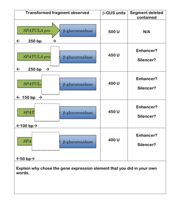 Solved "Get on the bus GUS!" (2 pts.) In plants, the GUS | Chegg.com