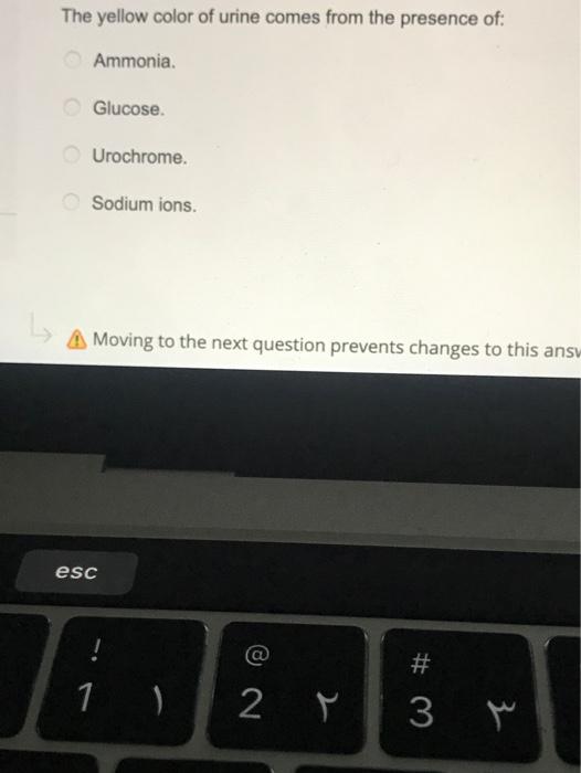 Solved The yellow color of urine comes from the presence of: | Chegg.com