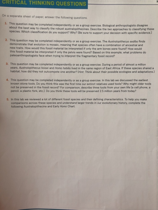 CRICAL THINKING QUESTIONS On A Separate Sheet Of Chegg crical-thinking-questions-on-a-separate-sheet-of-chegg