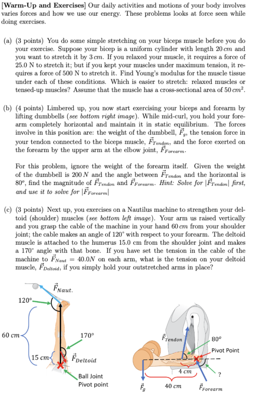 Solved [Warm-Up ﻿and Exercises] ﻿Our daily activities and | Chegg.com