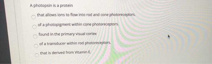 Solved A photopsin is a protein that allows ions to flow | Chegg.com