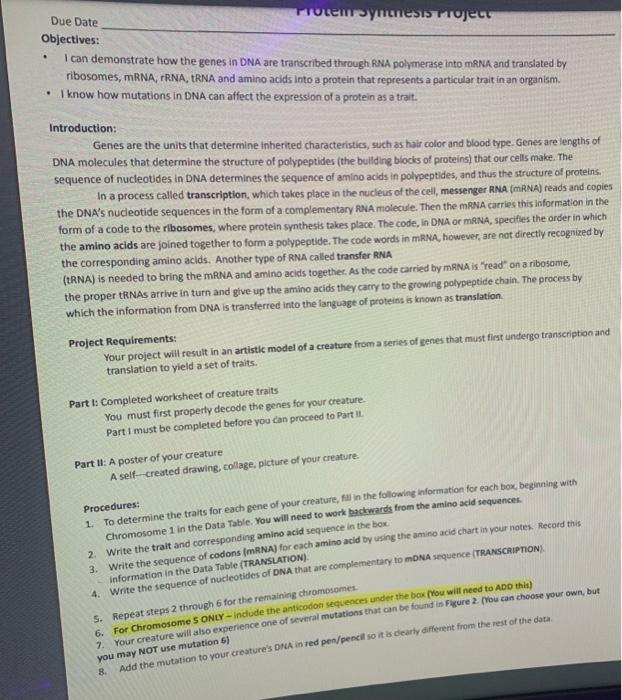 Solved Gene A-Skin Pigment Light Medium Dark Gene B-Pattern | Chegg.com