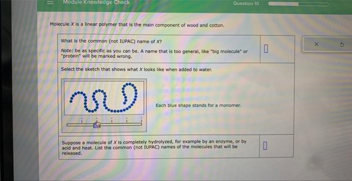 Solved Molecule X is a linear polymer that is the main | Chegg.com