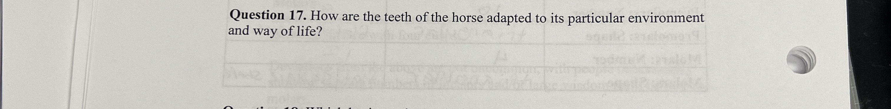 Solved Question 17. ﻿How are the teeth of the horse adapted | Chegg.com