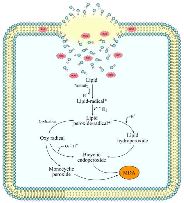 Solved can someone explain this process in detail? | Chegg.com