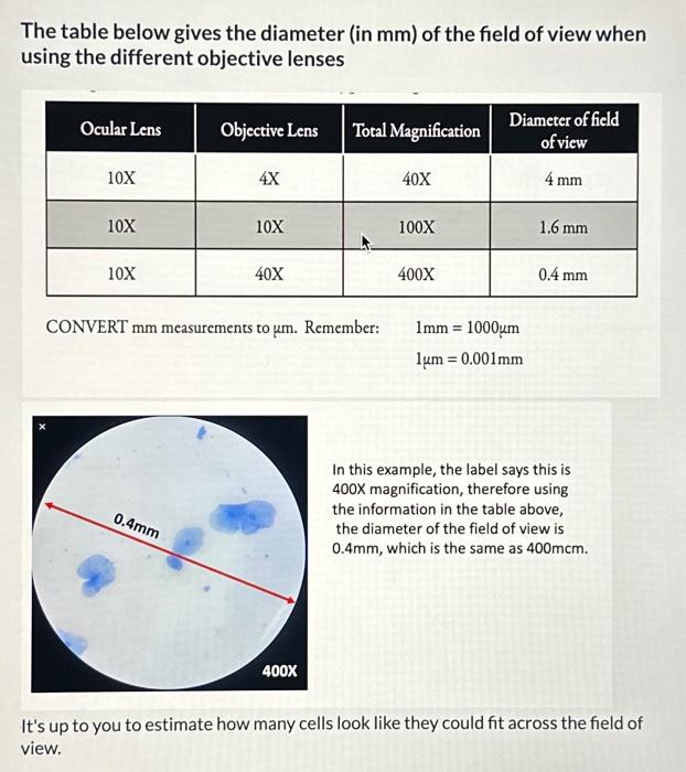 Solved Measuring Cells Although some microscope lenses have | Chegg.com