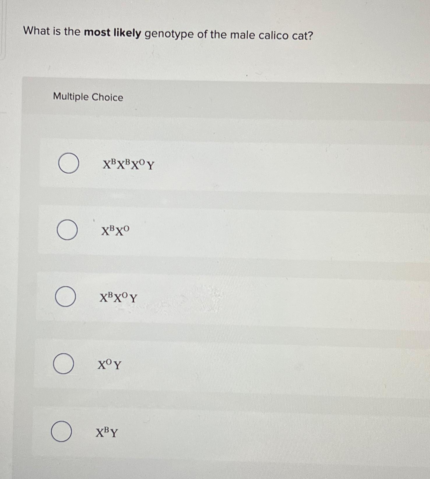 Solved What is the most likely genotype of the male calico | Chegg.com