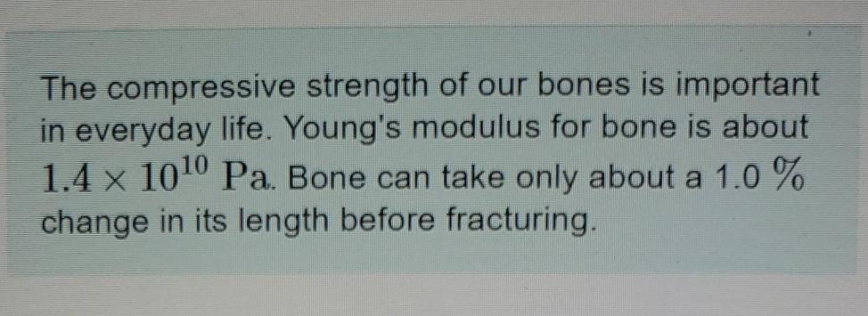 Solved The compressive strength of our bones is important in | Chegg.com