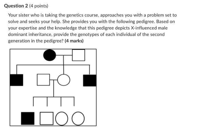 Solved Question 2 (4 points) Your sister who is taking the | Chegg.com Solved Question 2 (4 points) Your sister who is taking the | Chegg.com