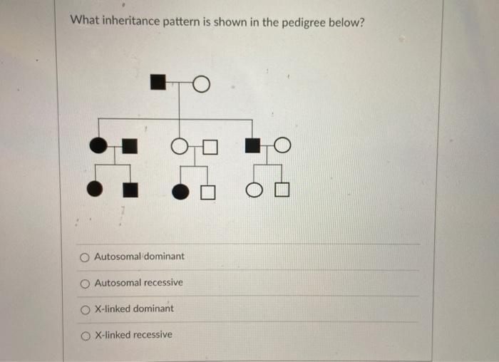 Solved What inheritance pattern is shown in the pedigree | Chegg.com