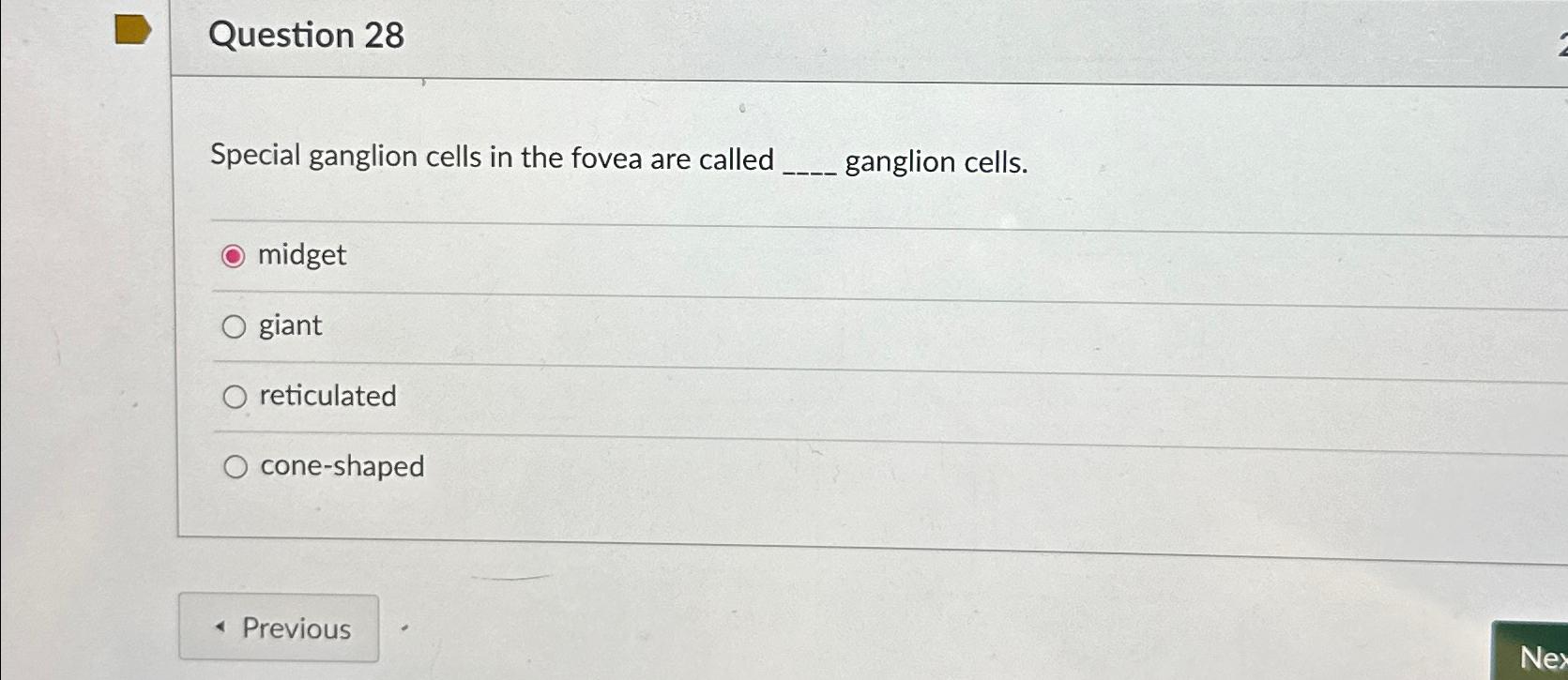Solved Question 28Special ganglion cells in the fovea are | Chegg.com