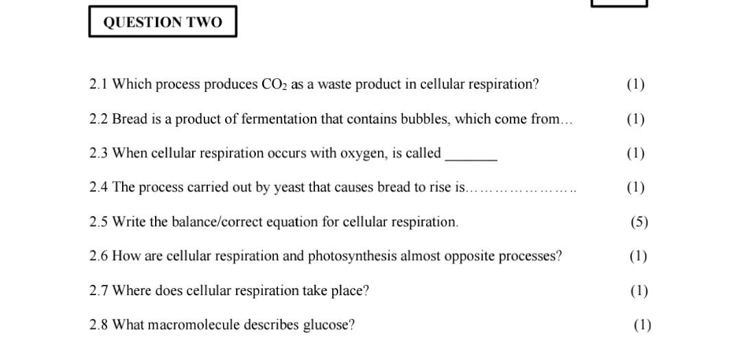 Solved 2.1 Which process produces CO2 as a waste product in | Chegg.com