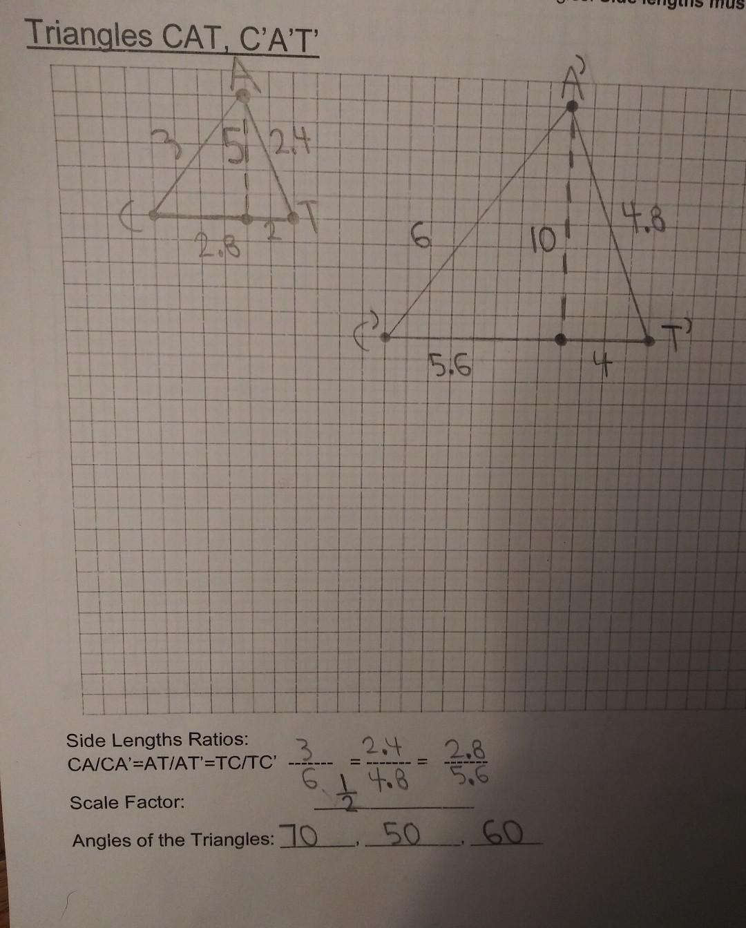 Solved Can Someone Please Complete This Geometry Similar Chegg