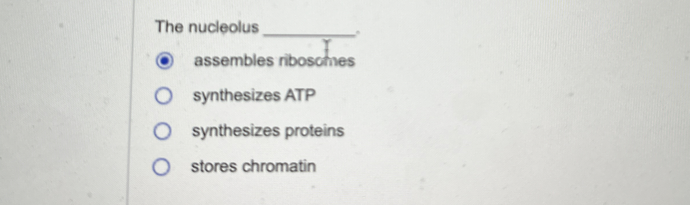 Solved The nucleolusassembles riboschessynthesizes | Chegg.com