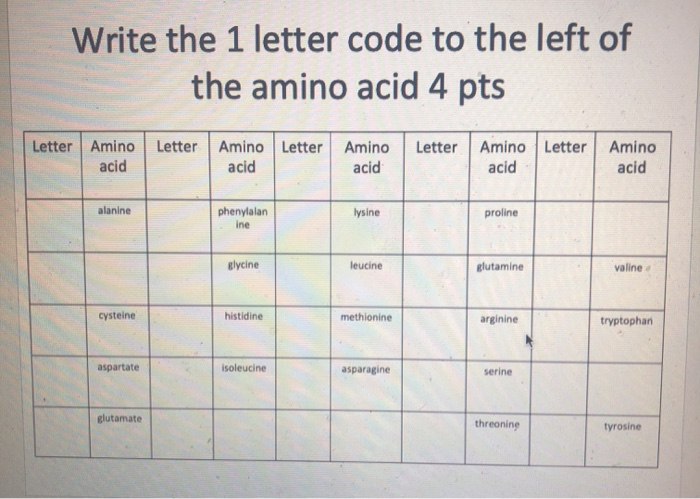 Solved Write the 1 letter code to the left of the amino acid | Chegg.com