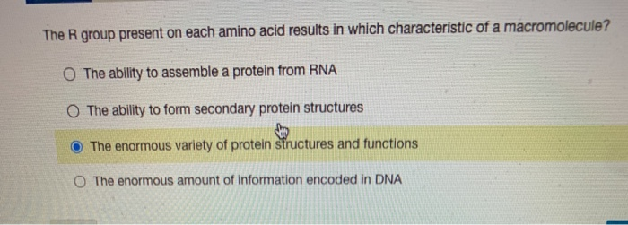 Solved The R group present on each amino acid results in | Chegg.com