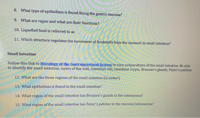 Solved 8. What type of epithelium is found lining the | Chegg.com