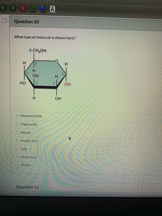 Solved IT Question 10 What type of molecule is shown here? 6 | Chegg.com