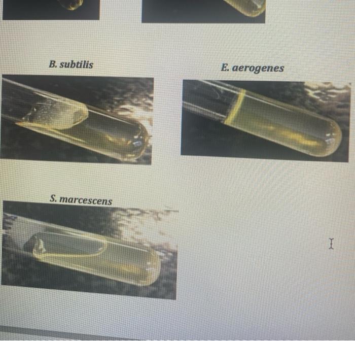 Solved EXERCISE 14 Analysis Day 2 Part 1: Production of | Chegg.com
