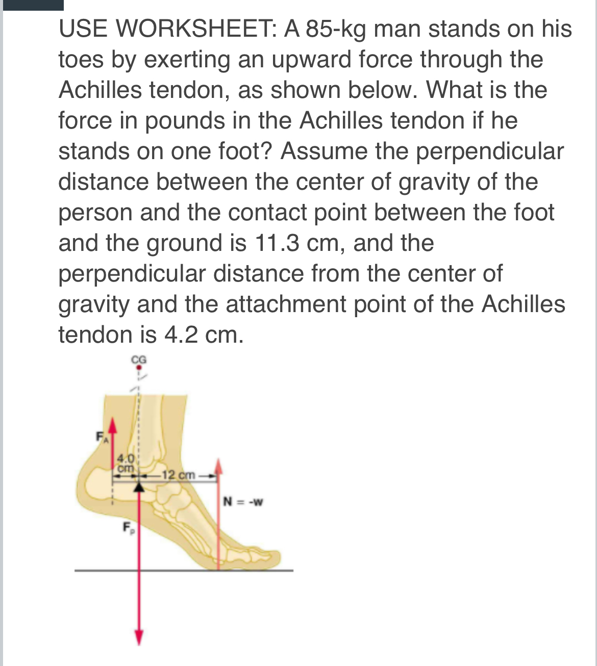 Solved USE WORKSHEET: A 85-kg man stands on his toes by | Chegg.com