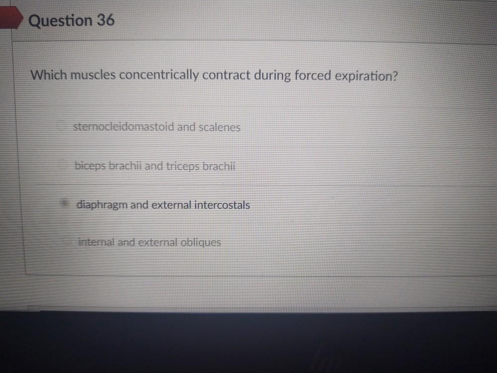 Solved Question 36 Which muscles concentrically contract | Chegg.com