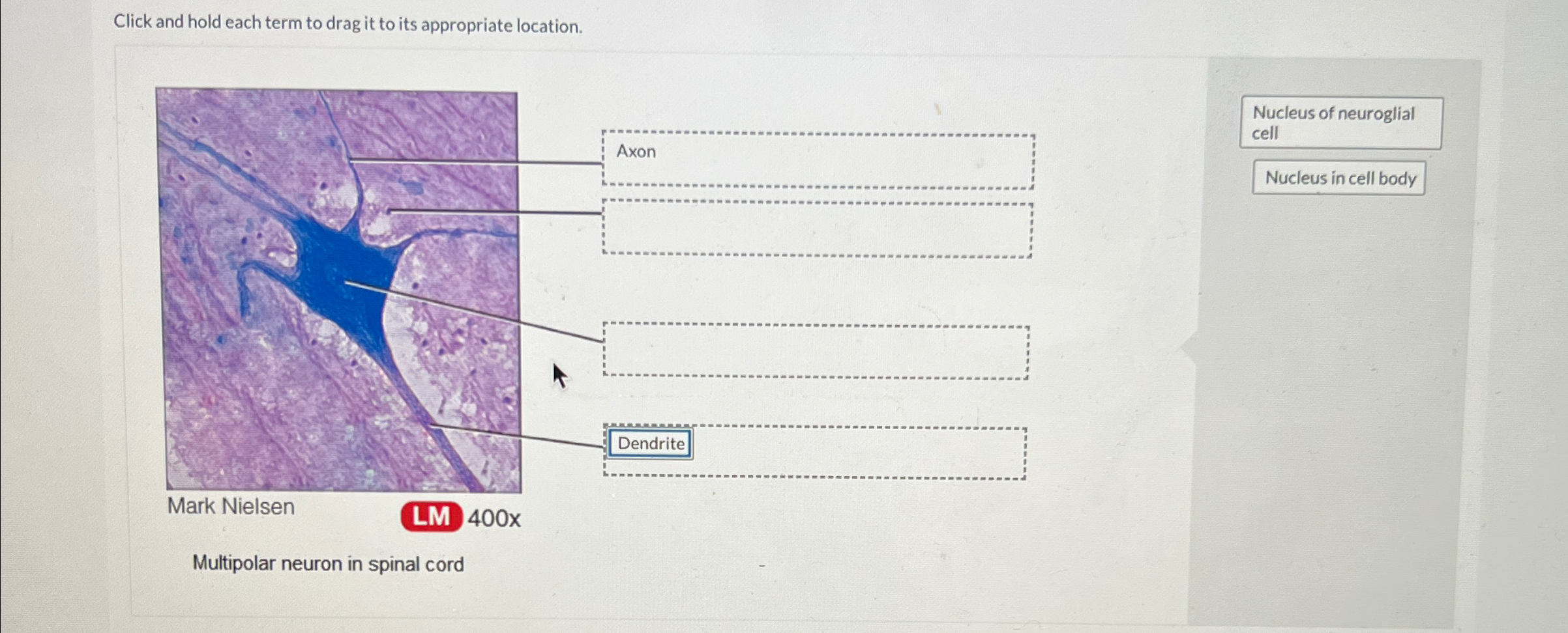 Solved Click and hold each term to drag it to its | Chegg.com