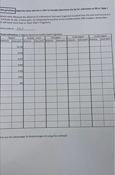 Solved label the lanes and use a ruler to visually determine | Chegg.com