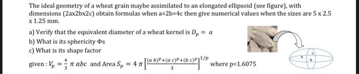 Solved The ideal geometry of a wheat grain maybe assimilated | Chegg.com