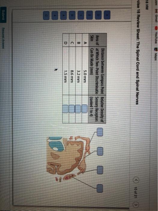 Solved DpsM Gmall Youtube Maps 16 HW cise 16 Review Sheet: | Chegg.com