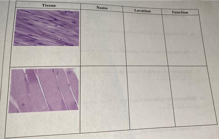 Solved For the table below, identify each of the tissues, | Chegg.com