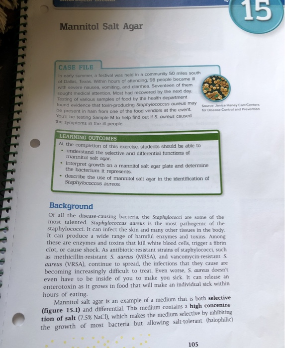 Solved TOT Zoo Add Page Insert Table Chart Text Shape Media | Chegg.com