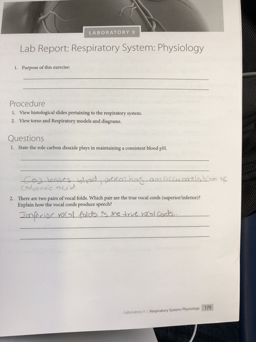 Solved: LABORATORY 9 Lab Report: Respiratory System: Physi... | Chegg.com