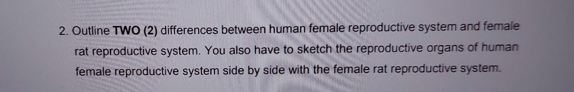 Solved 2. Outline TWO (2) differences between human female | Chegg.com