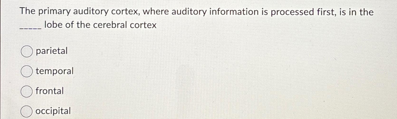 Solved The primary auditory cortex, where auditory | Chegg.com
