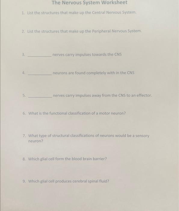Solved Neuromuscular Junction Worksheet 1. Draw a neuron and | Chegg.com