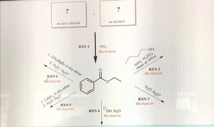 Solved please write the mechanism for each | Chegg.com Solved please write the mechanism for each | Chegg.com