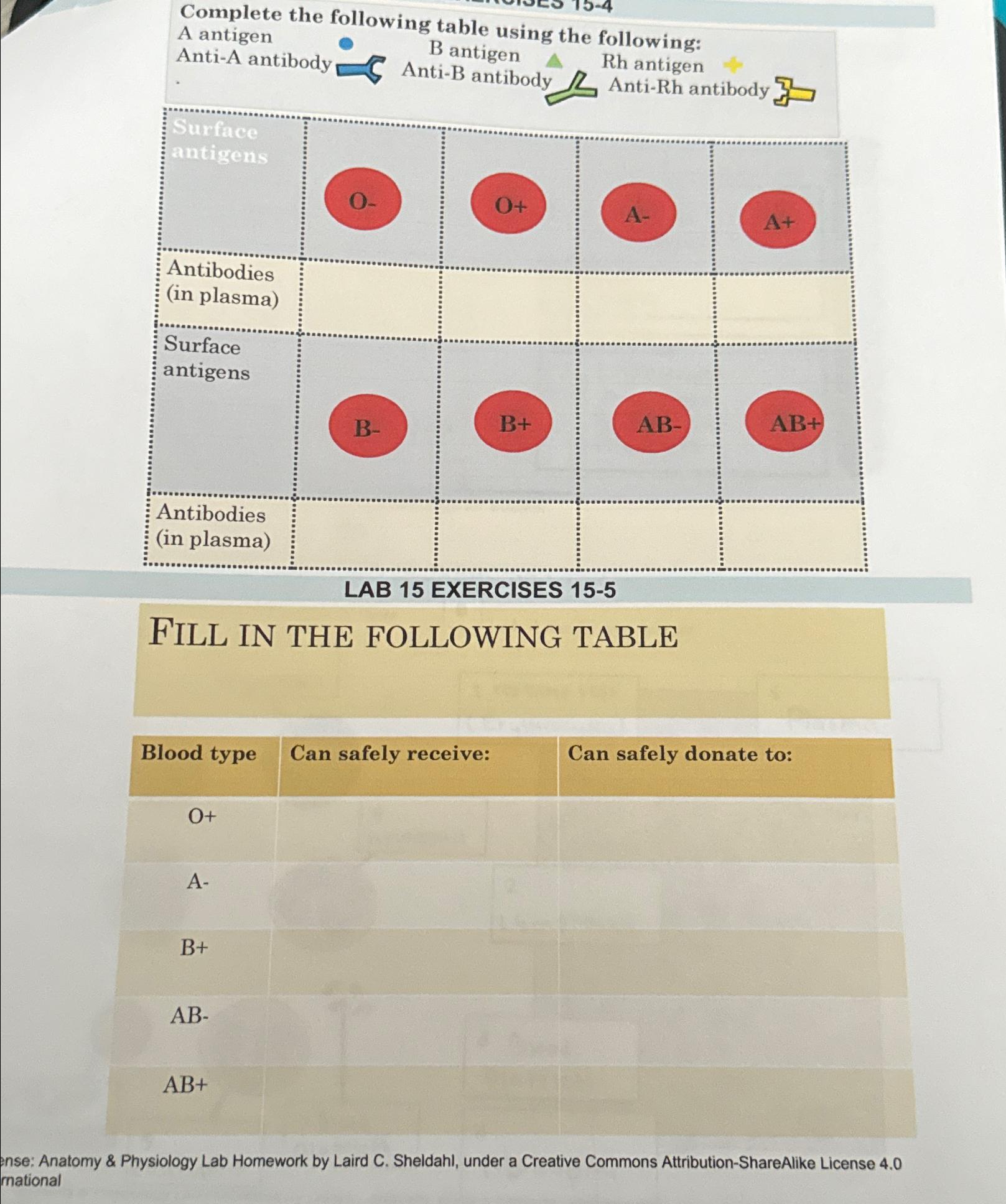 Solved LAB 15 ﻿EXERCISES 15-5FILL IN THE FOLLOWING | Chegg.com