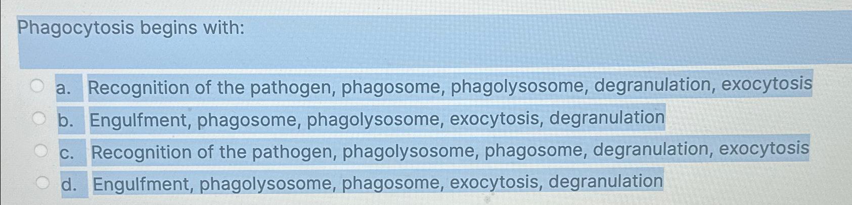 Solved Phagocytosis begins with:a. ﻿Recognition of the | Chegg.com