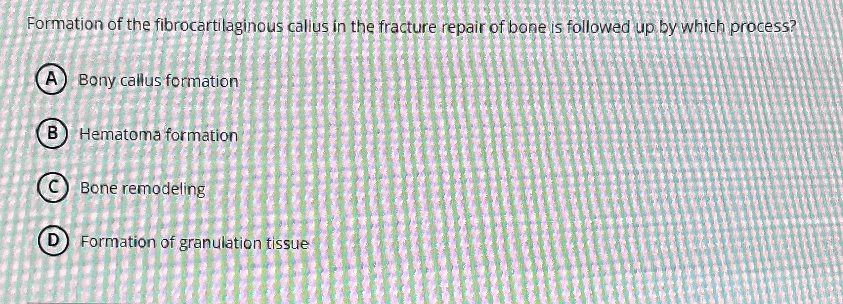 Solved Formation of the fibrocartilaginous callus in the | Chegg.com