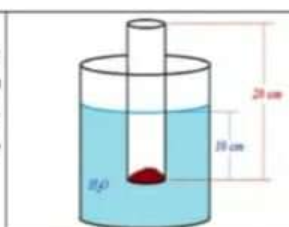 Solved A test tube with a little lead at its base is placed | Chegg.com