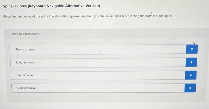 Solved Spinal Curves (Keyboard Navigable Alternative | Chegg.com