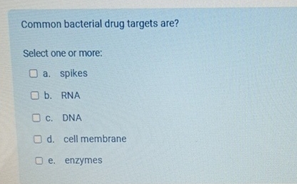 Solved Common bacterial drug targets are? Select one or | Chegg.com
