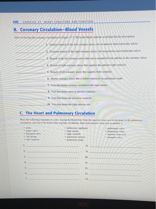 Solved 446 EXERCISE 27 HEART STRUCTURE AND FUNCTION B. | Chegg.com
