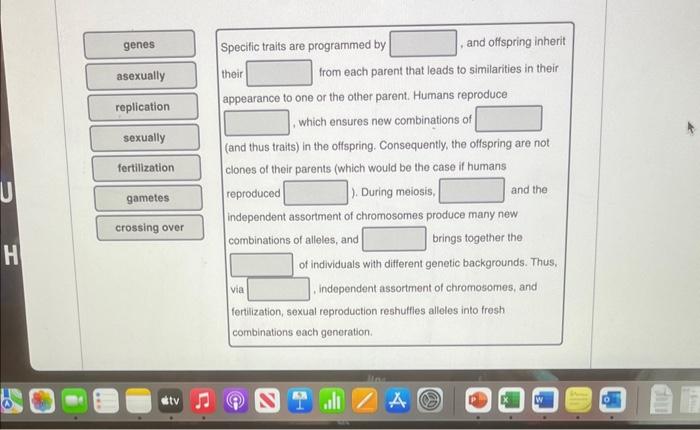 Solved Specific traits are programmed by , and offspring | Chegg.com