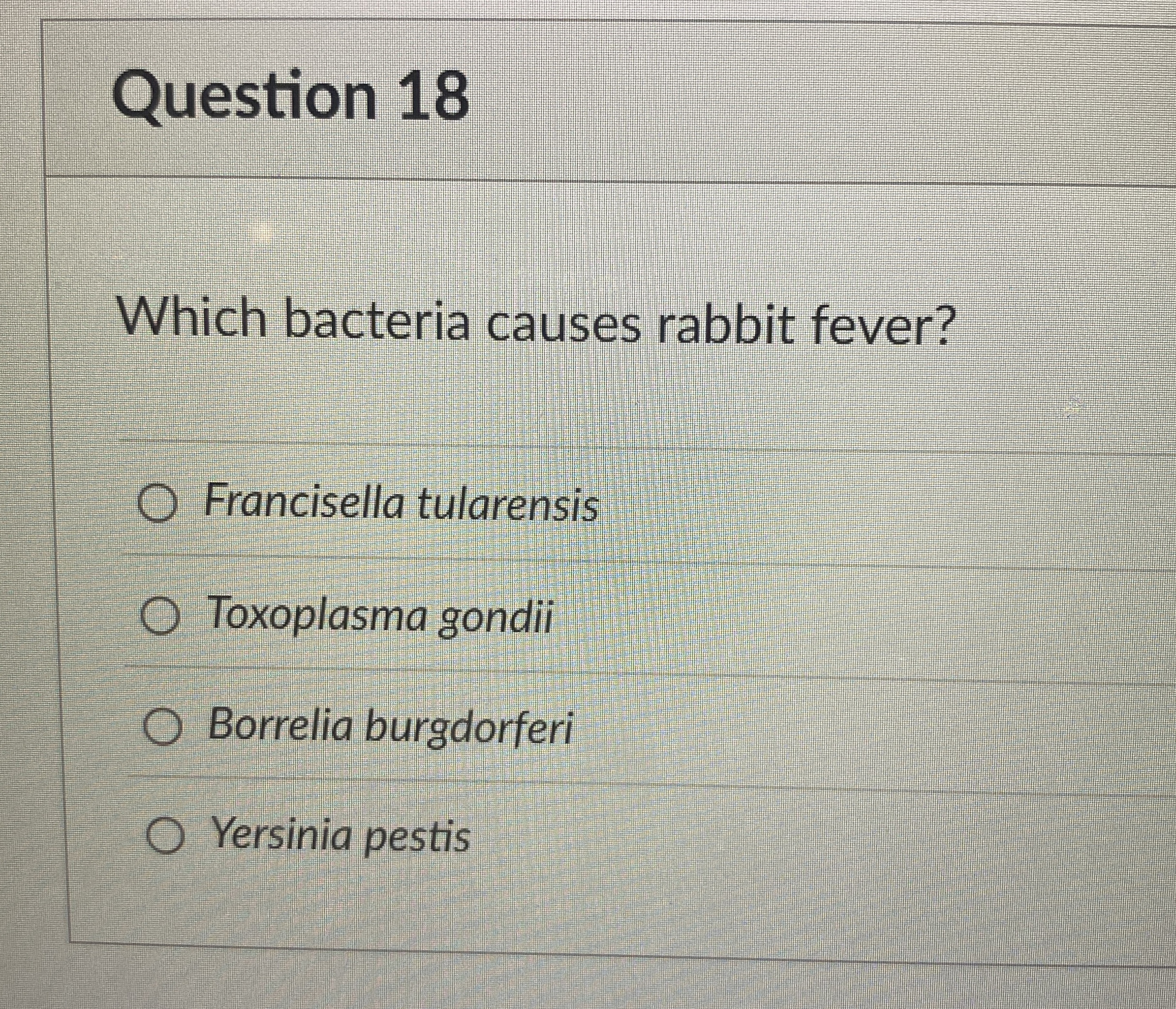 Solved Question 18Which bacteria causes rabbit | Chegg.com
