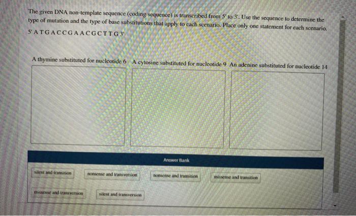 Solved The given DNA non-template sequence (coding sequence) | Chegg.com Solved The given DNA non-template sequence (coding sequence) | Chegg.com