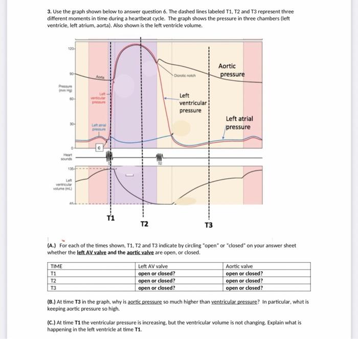 Solved 3. Use the graph shown below to answer question 6. | Chegg.com